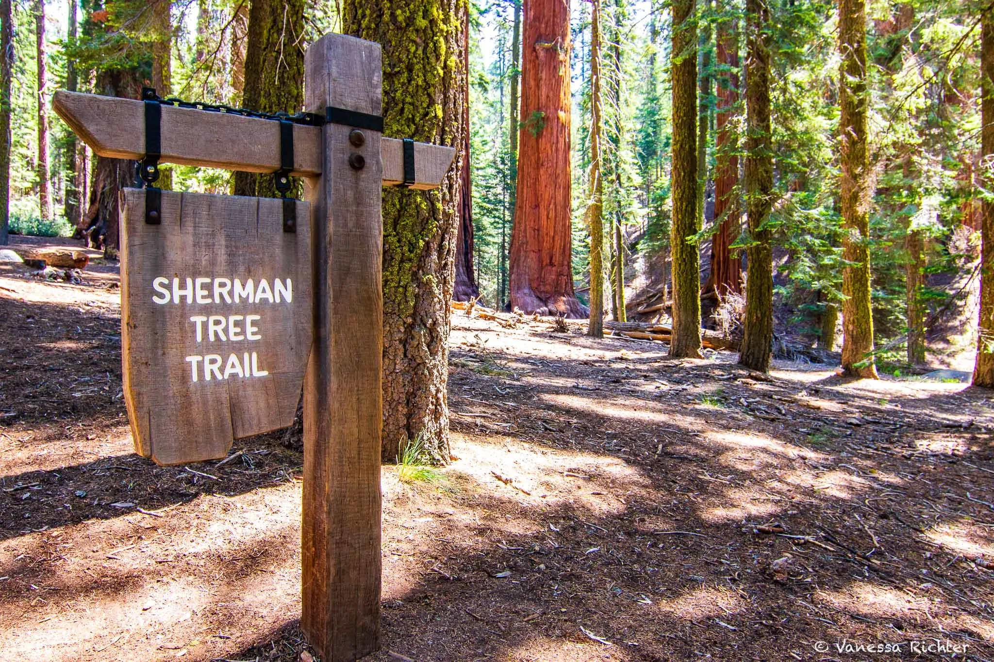 2 Days in Sequoia and Kings Canyon National Parks: A First Timer's ...