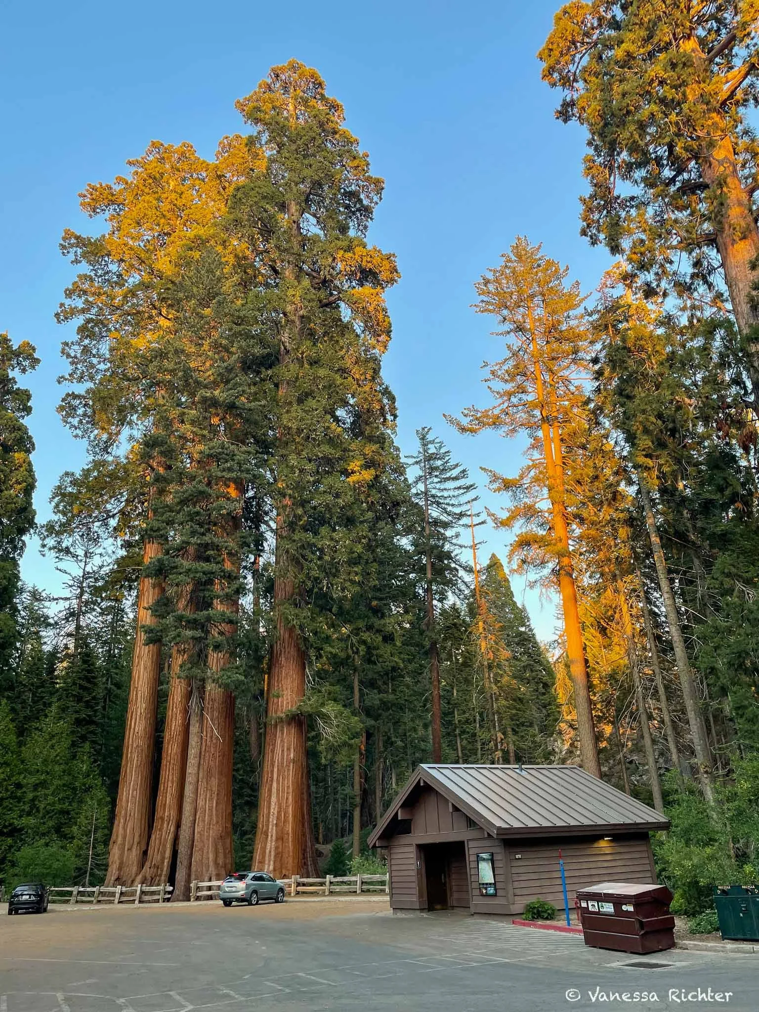 2 Days in Sequoia and Kings Canyon National Parks: A First Timer's ...