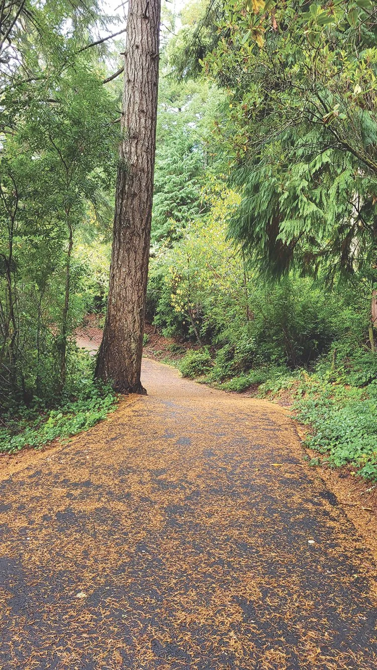 OBAB - Oregon Bay Area Beautification