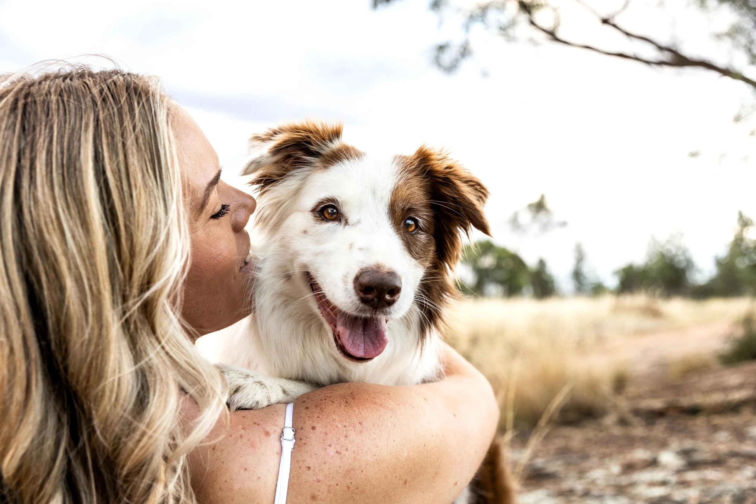Rogue Paws Photography | Capture Canine Moments