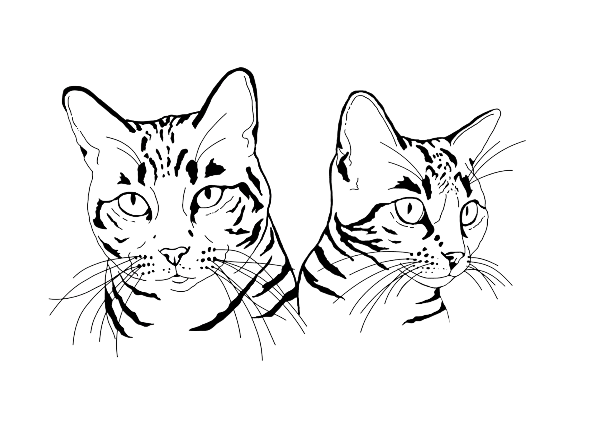 Laura J Stratton - Quirky Cat Lady Art