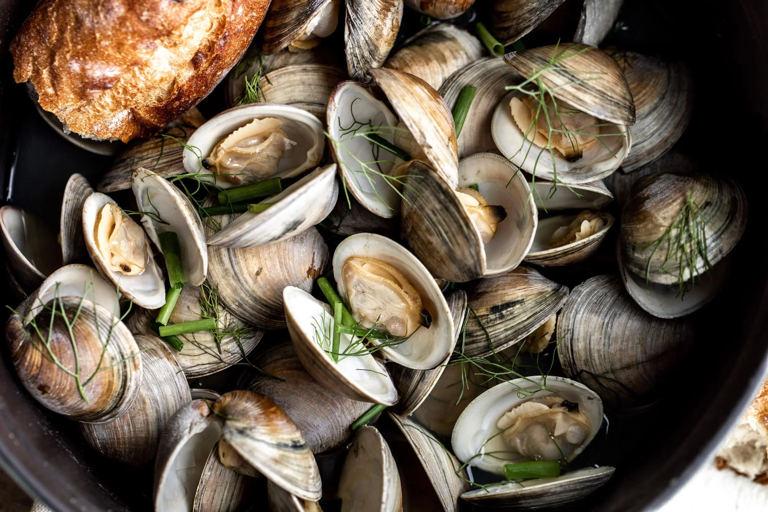 Can I Eat Clams During Pregnancy? What to Know — Ok Hera