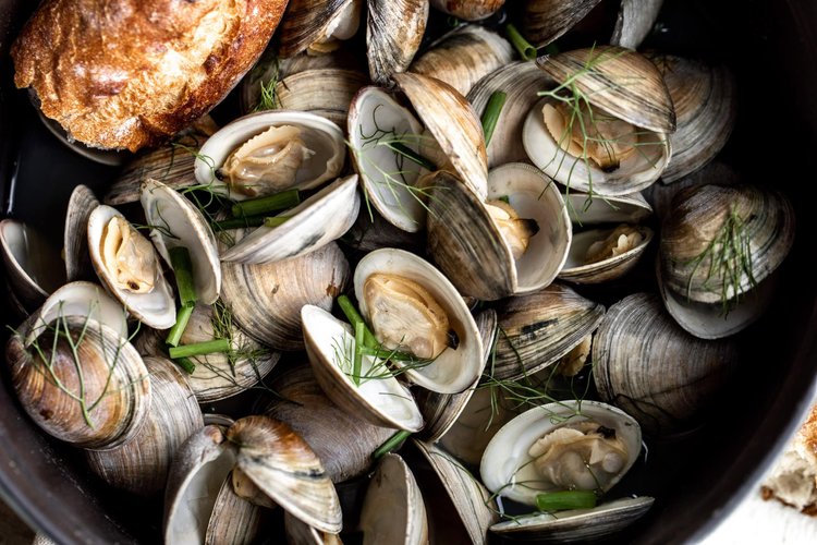 Can I Eat Clams During Pregnancy? What to Know — Ok Hera