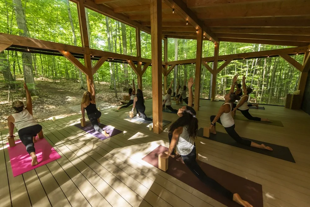 Schedule — VICKI TREE WELLNESS