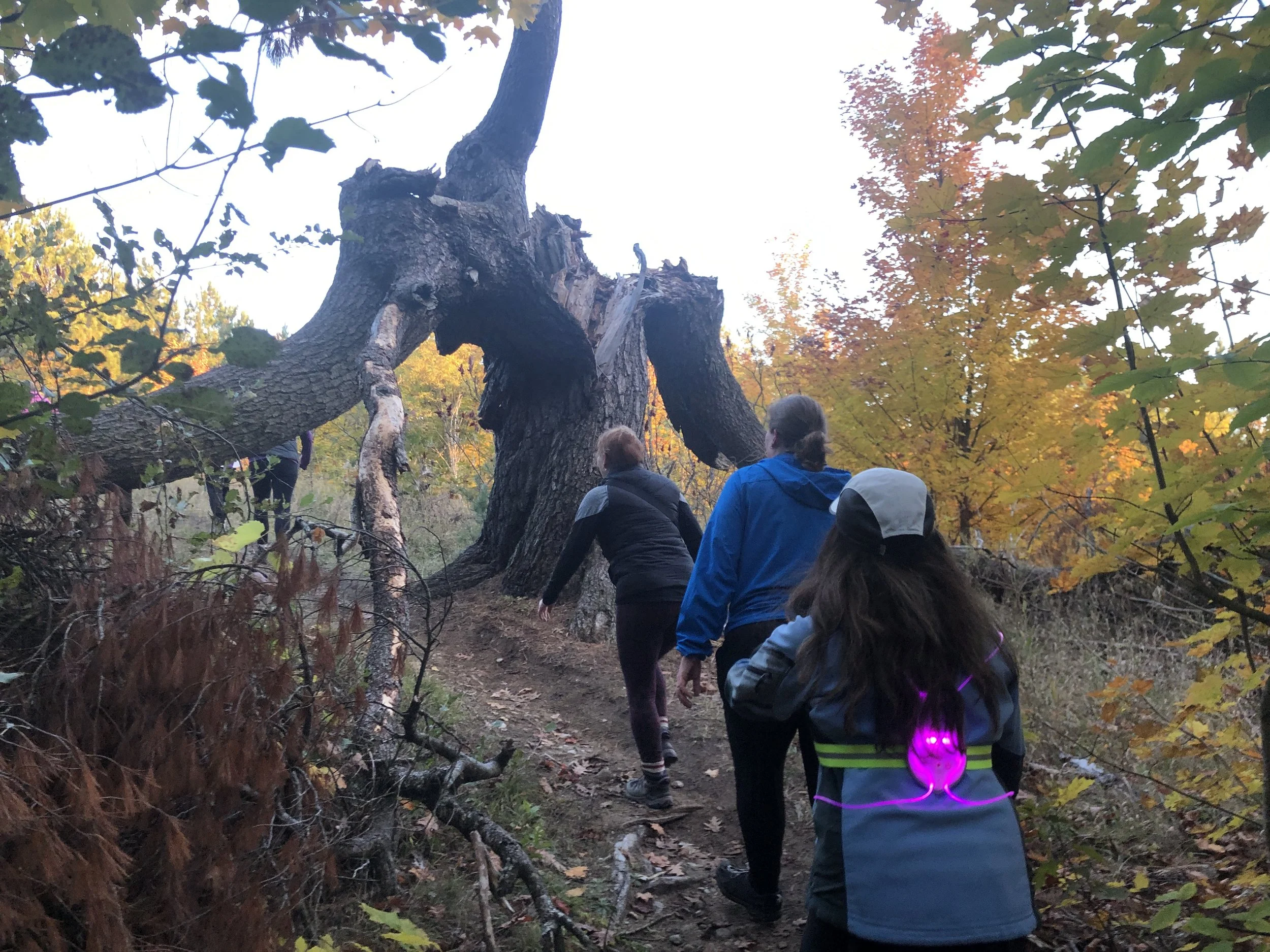 Events — VICKI TREE WELLNESS