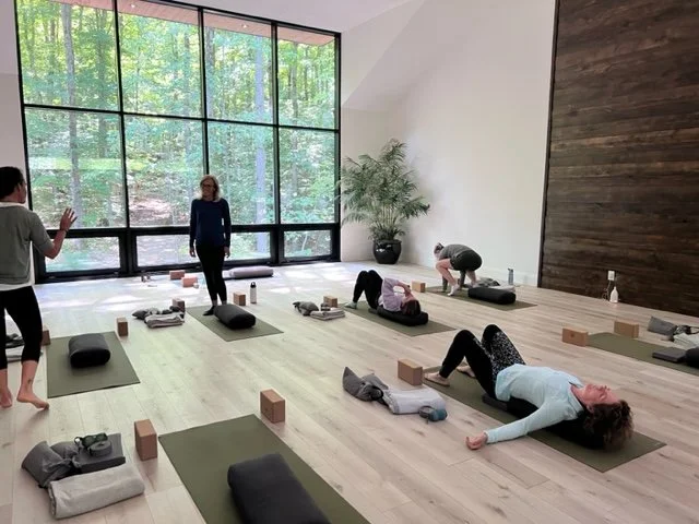 Large Room — VICKI TREE WELLNESS