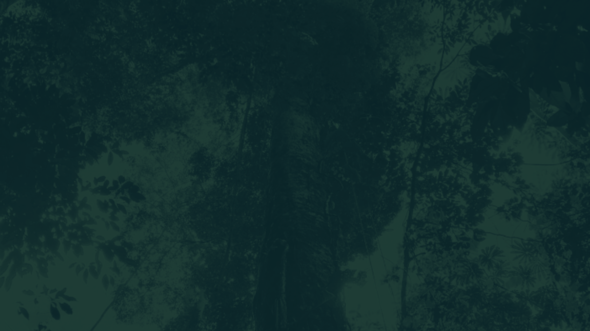 Phase One – Source Embodiment Process — Justin Hartery LMFT