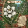 Nicte Ha: La Princesa Maya y su Flor Sagrada — NicteHa.love