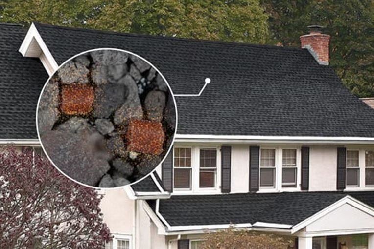 Roof Streaks and the Benefits of GAF StainGuard Shingles — Lion Hopper ...