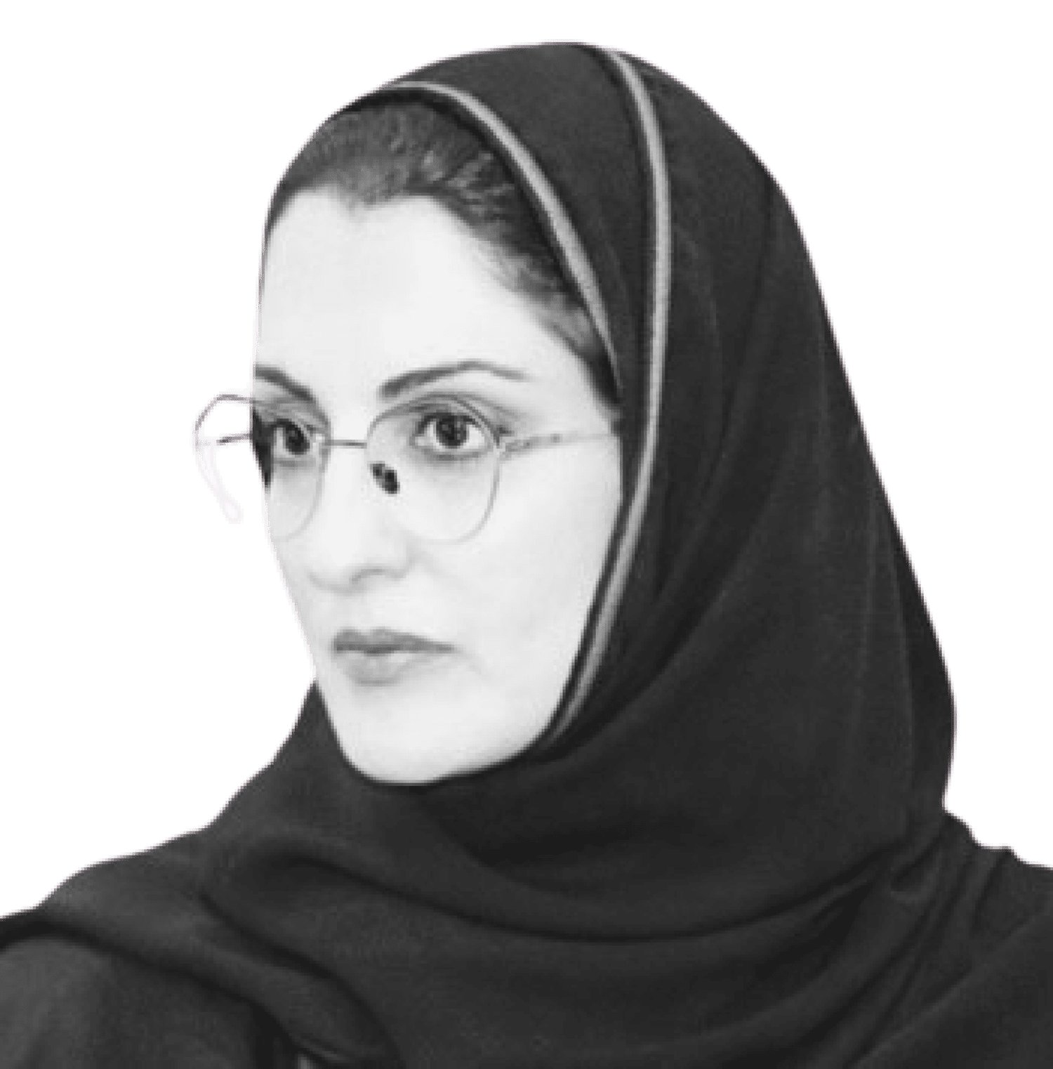 Who We Are — Saudi Youth Society