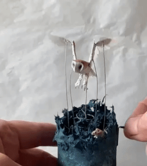 Penny Thomson Works — Haarlem Studios