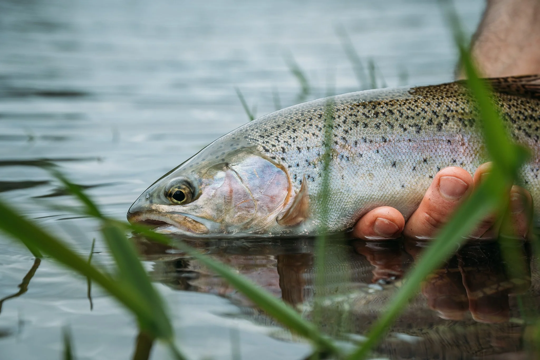 Contact Us — SNOWY VALLEYS FLY FISHING