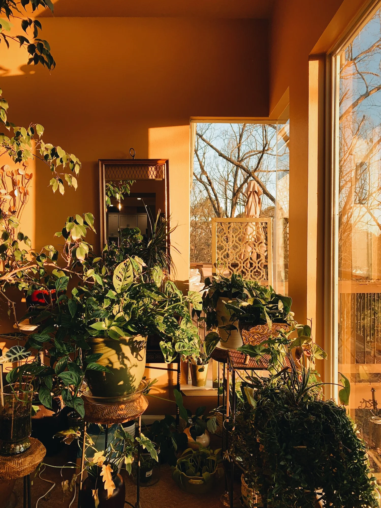 Painting your home with earthy colours