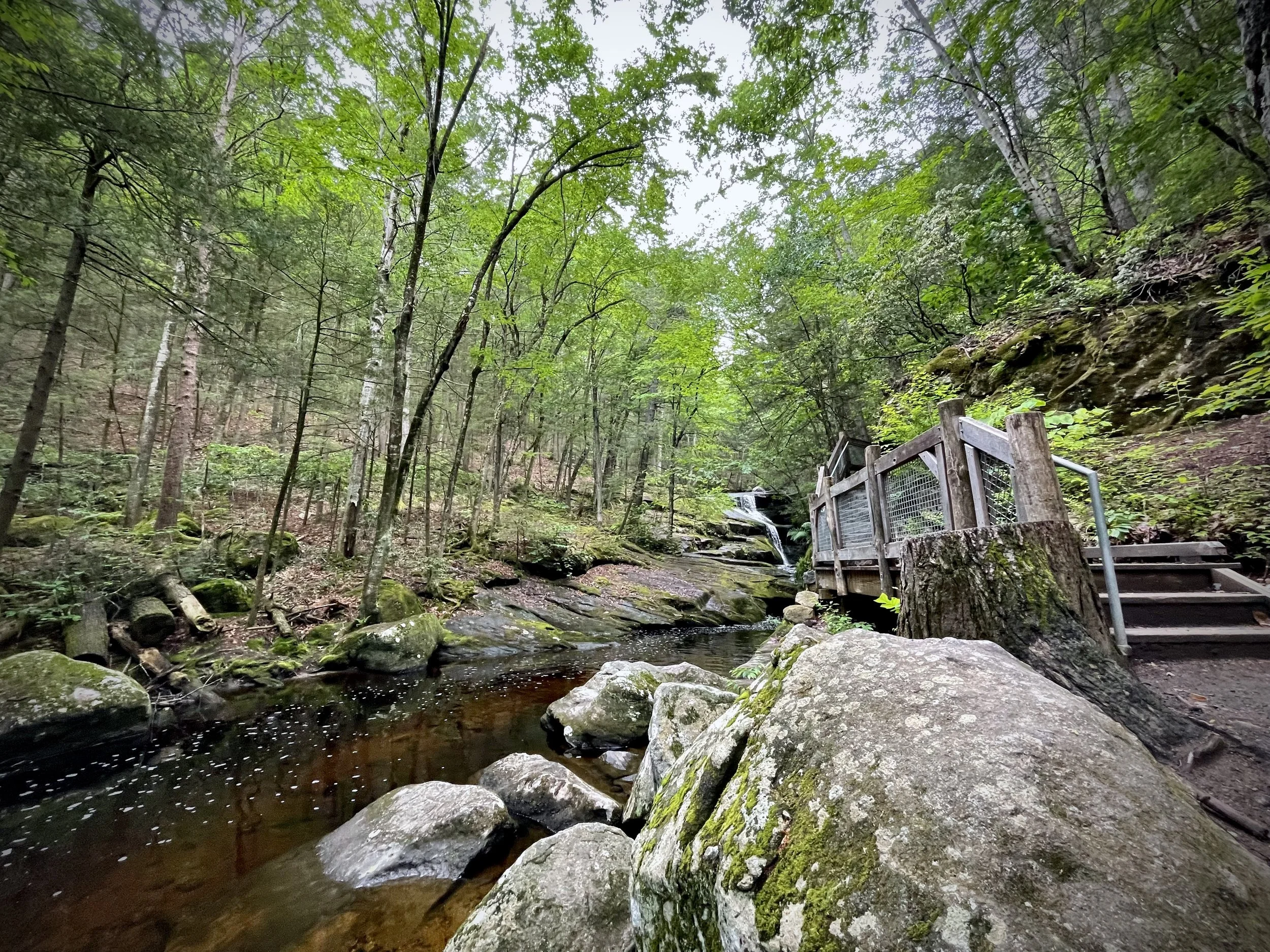 Connecticut’s most beautiful walks by the water. — Cara Mac Media