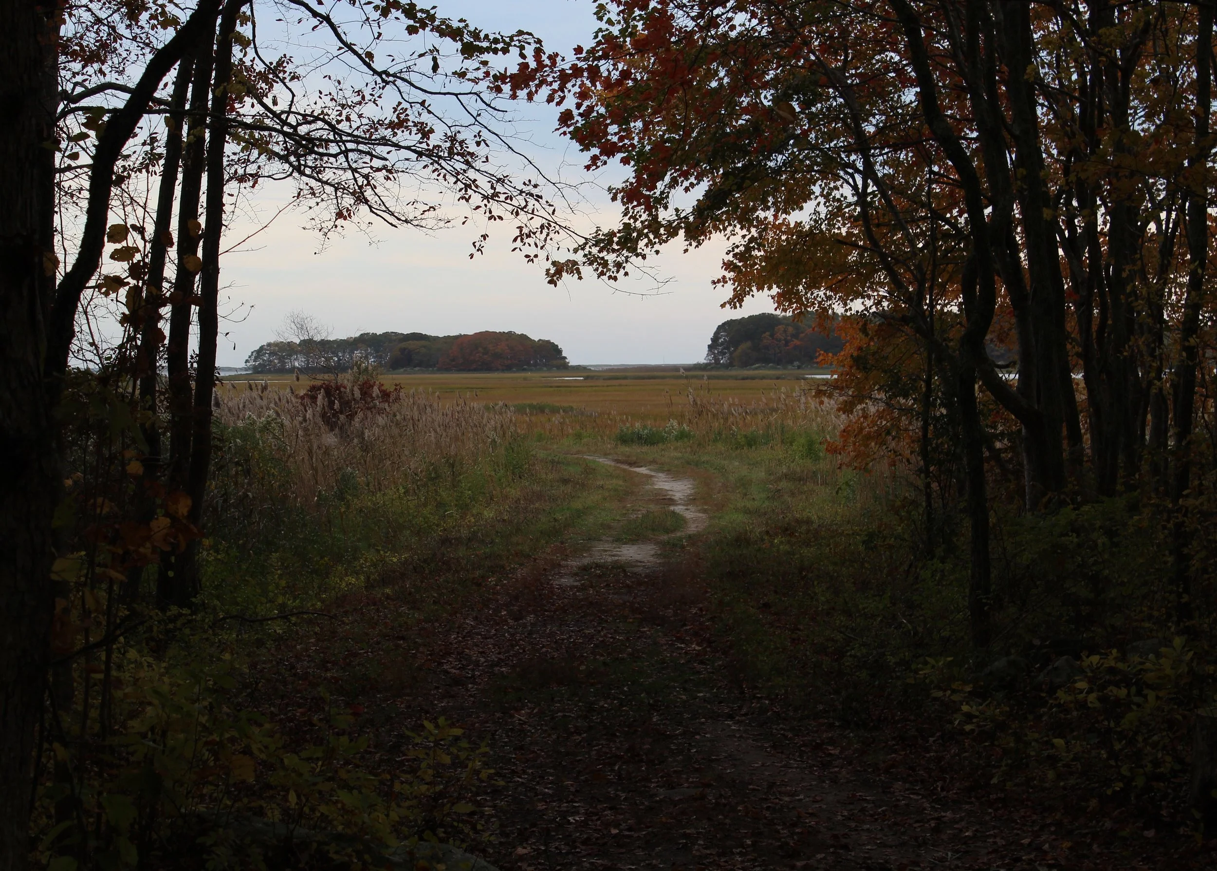 Connecticut’s most beautiful walks by the water. — Cara Mac Media