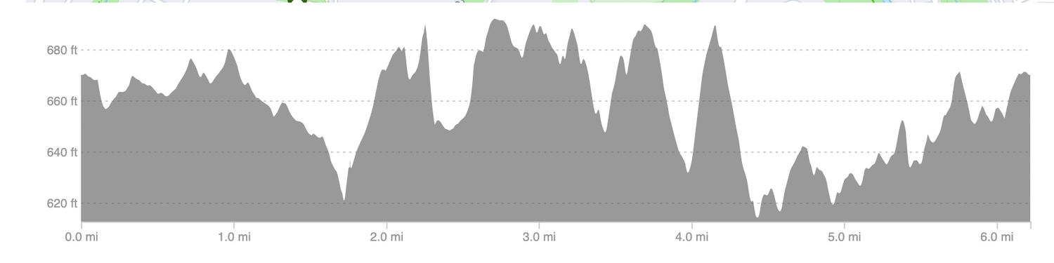 The Stampede — Trail Roots Running