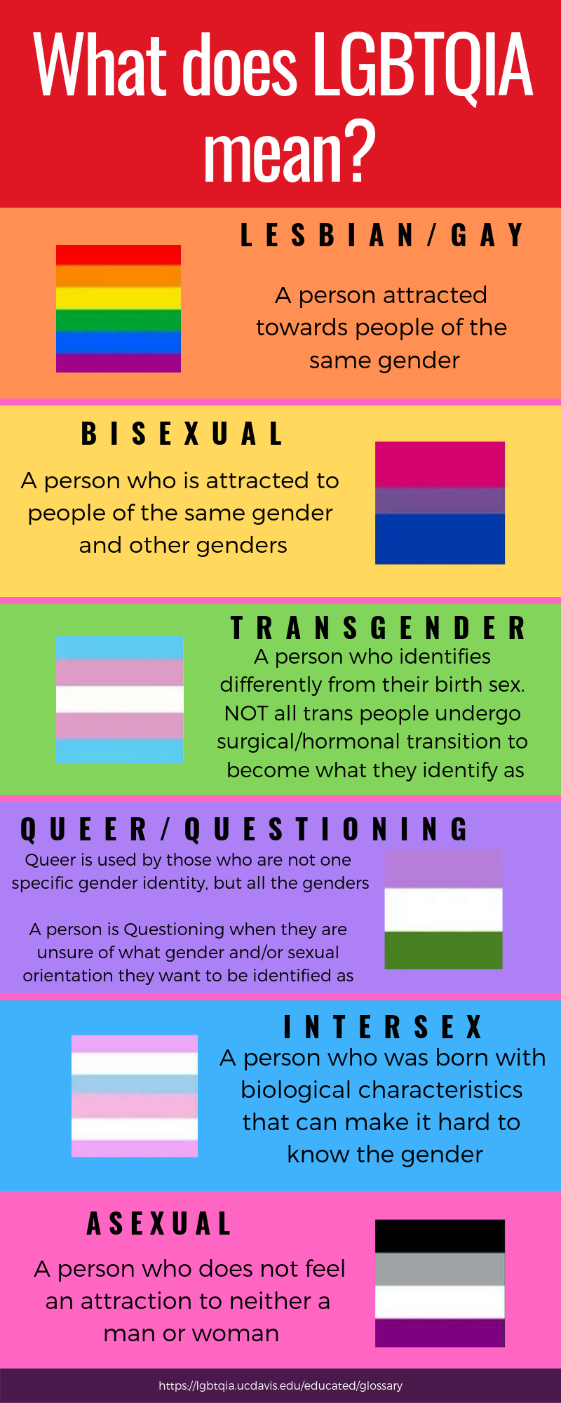 Demystifying LGBTQIA Queerly