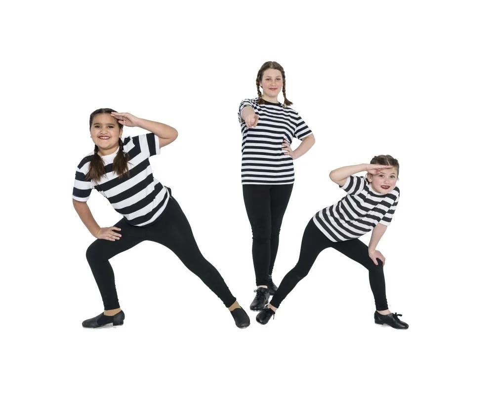 Everything Goes Dance Studio Companies — Everything Goes Dance Studio