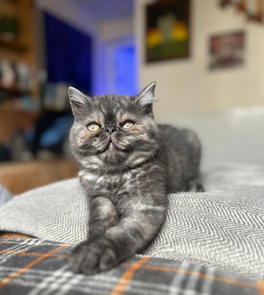 General 1 — Inka Creative Studio