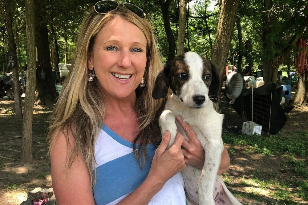 About — Dogs Deserve Better