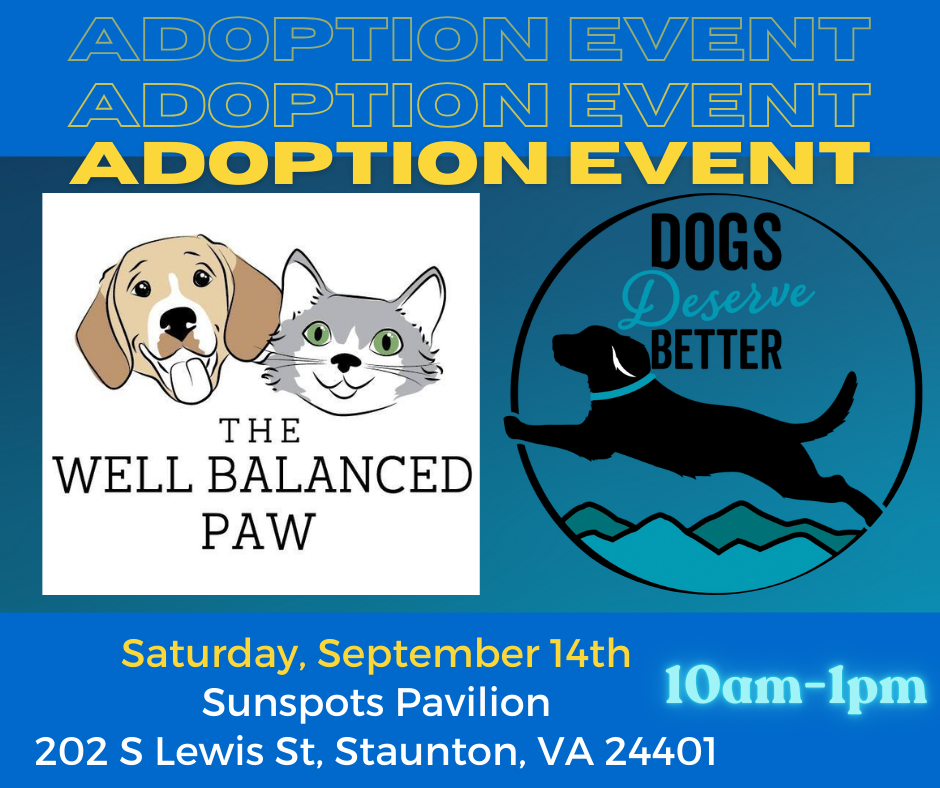 Adoption Event - The Well Balanced Paw — Dogs Deserve Better