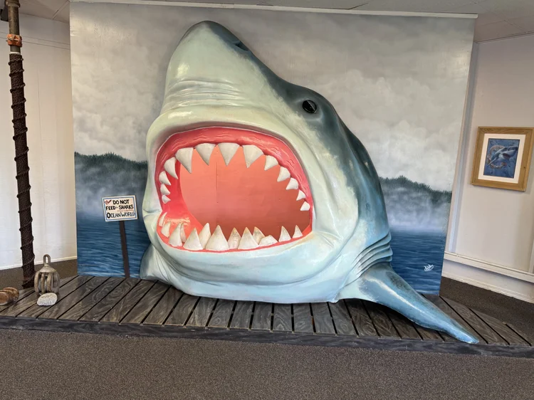 VISITING OCEAN WORLD AQUARIUM WITH KIDS IN CRESCENT CITY, CA