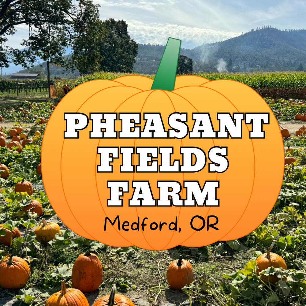 BEST PUMPKIN PATCHES in Southern Oregon