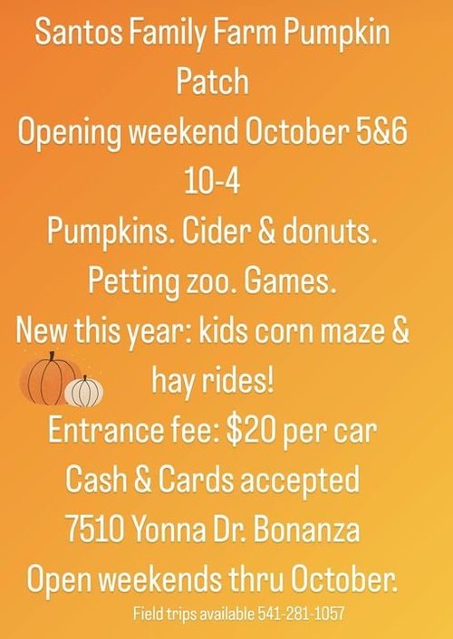 The 2024 Ultimate Guide to Pumpkin Patches in Southern Oregon