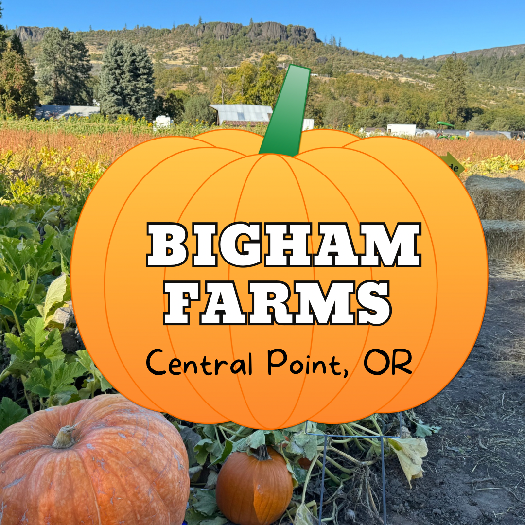 BEST PUMPKIN PATCHES in Southern Oregon