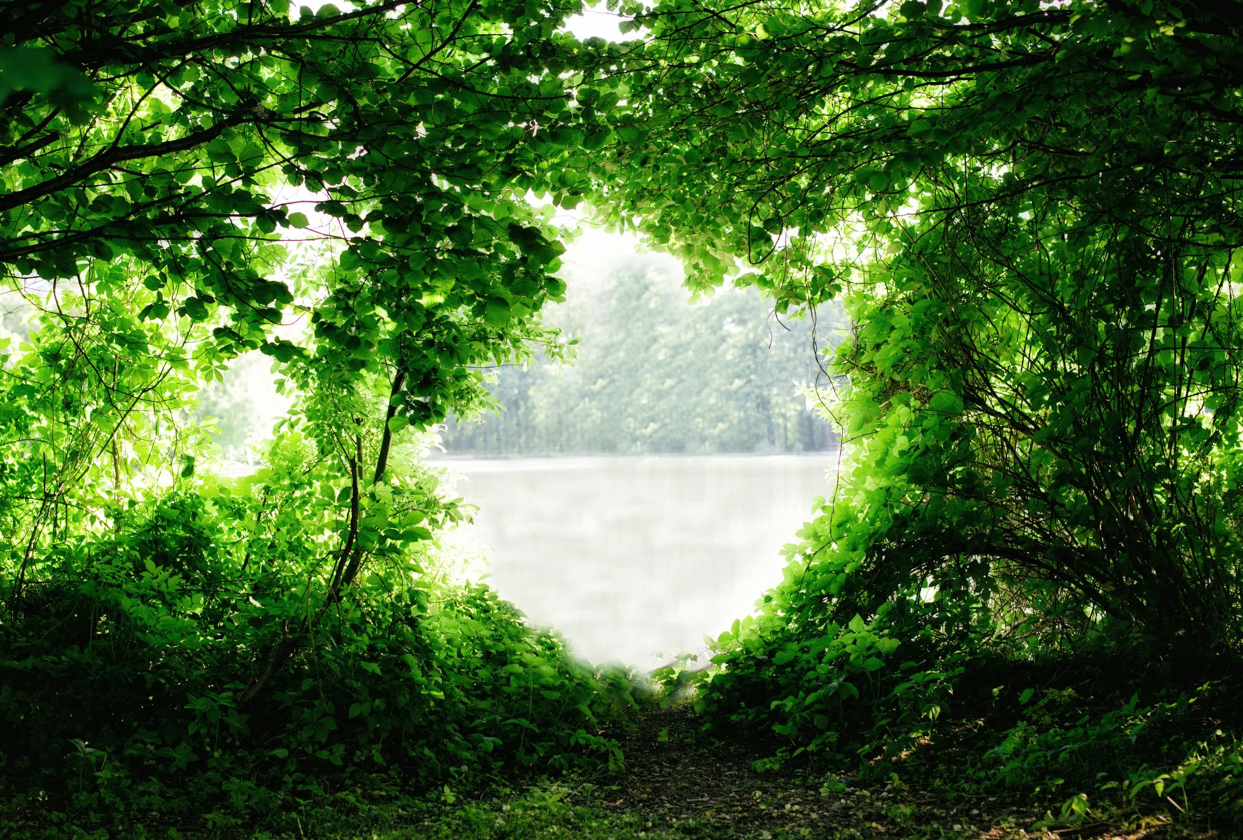 Embrace Your Inner Goddess with Magdalene Rose Priestess Training ...