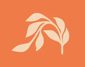 Charis Art Studio