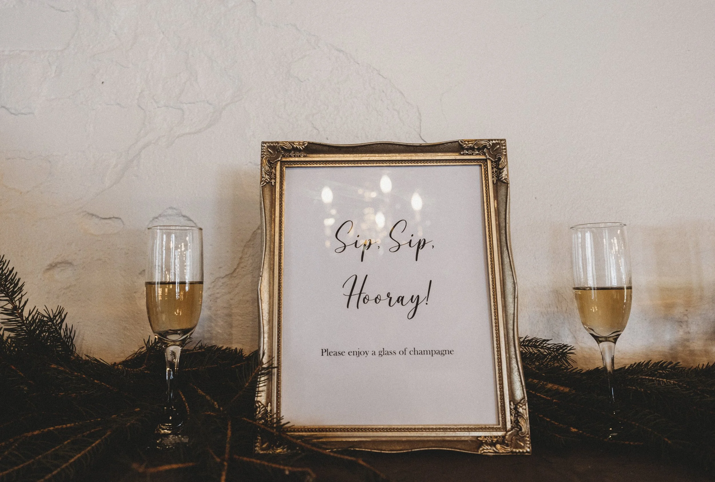 Champagne Toast Wedding