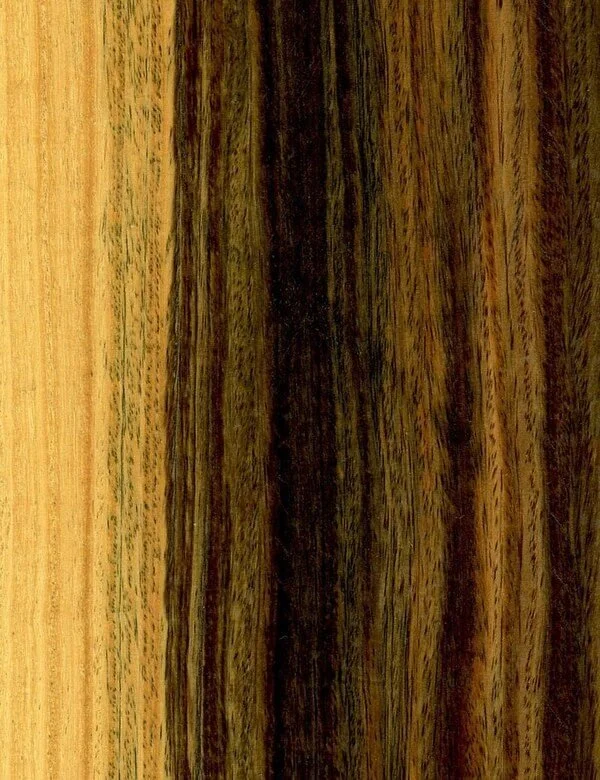 Top Ten Heaviest Woods in the World — NaturanexA - Timber merchant ...