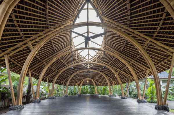 Bamboo: Strength and Versatility — NaturanexA - Timber merchant ...