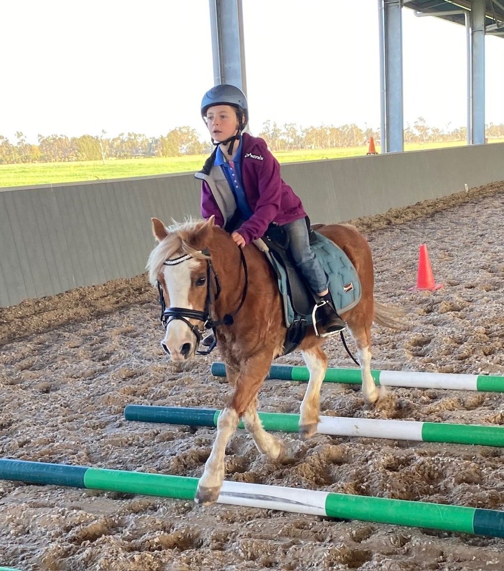 Coaches & Horses — Scone Equestrian Centre