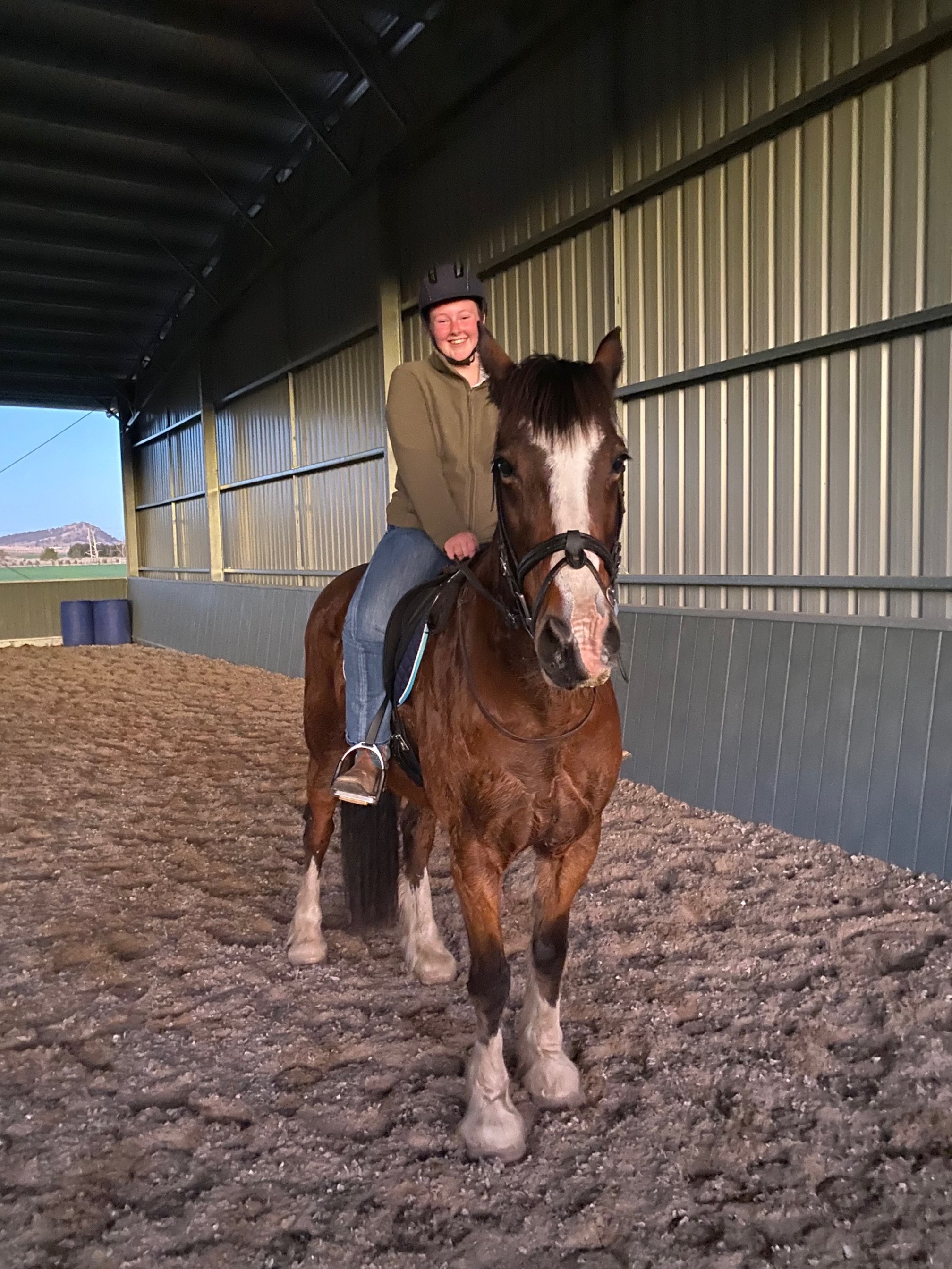 Horse Riding Lessons — Scone Equestrian Centre