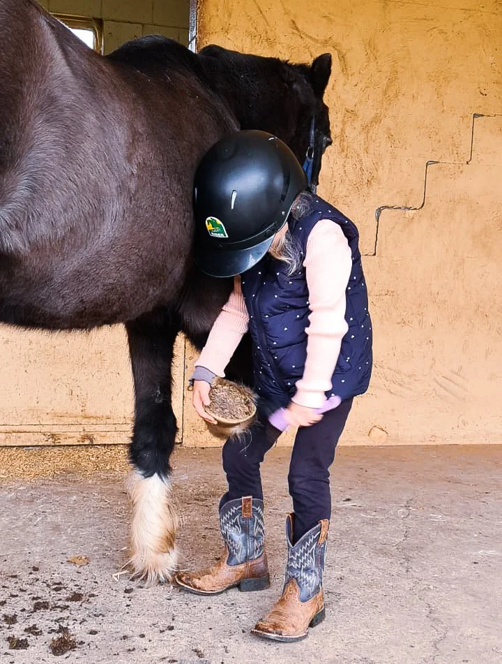 Scone Equestrian Centre