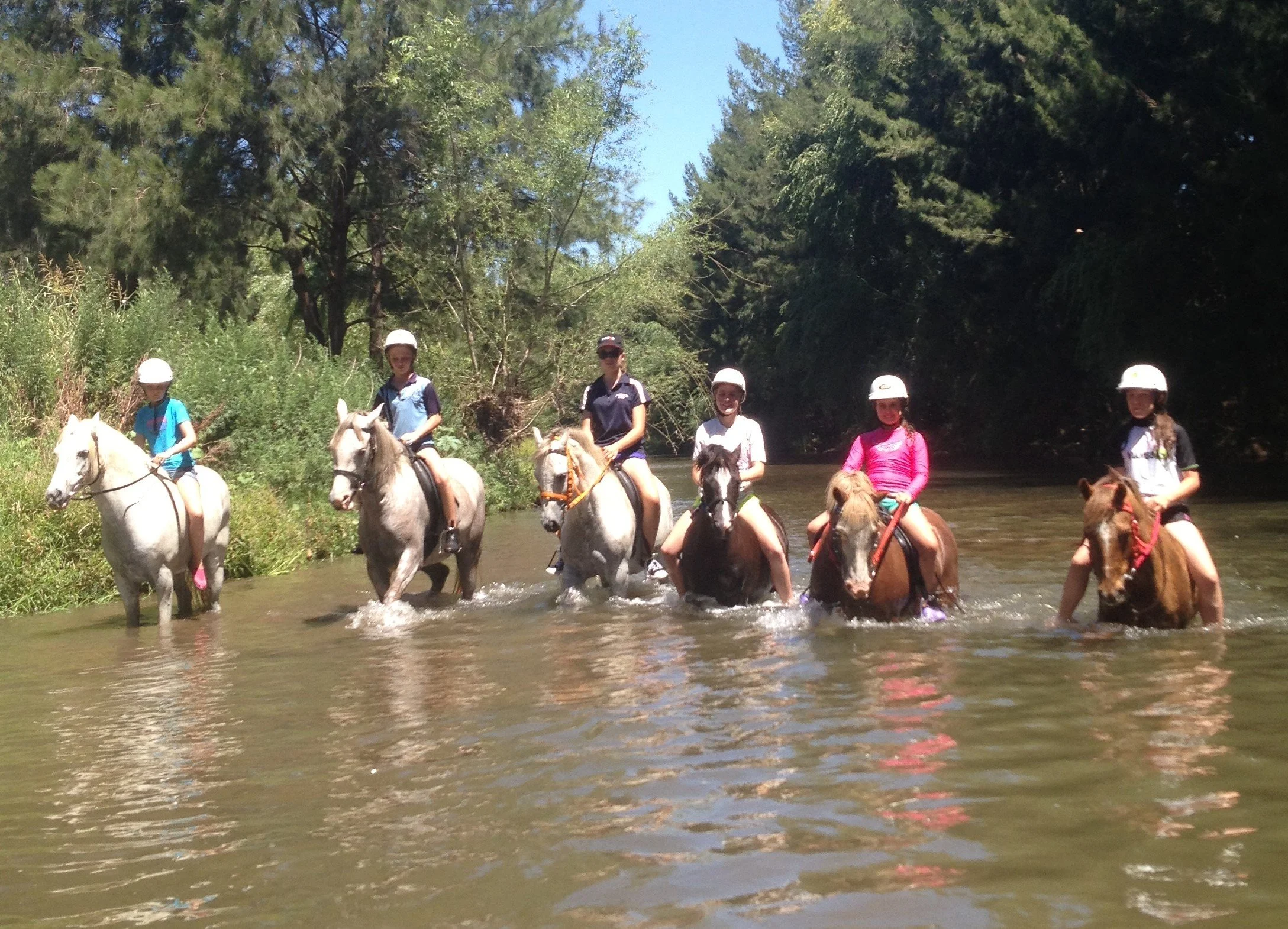 Horse Riding Lessons — Scone Equestrian Centre