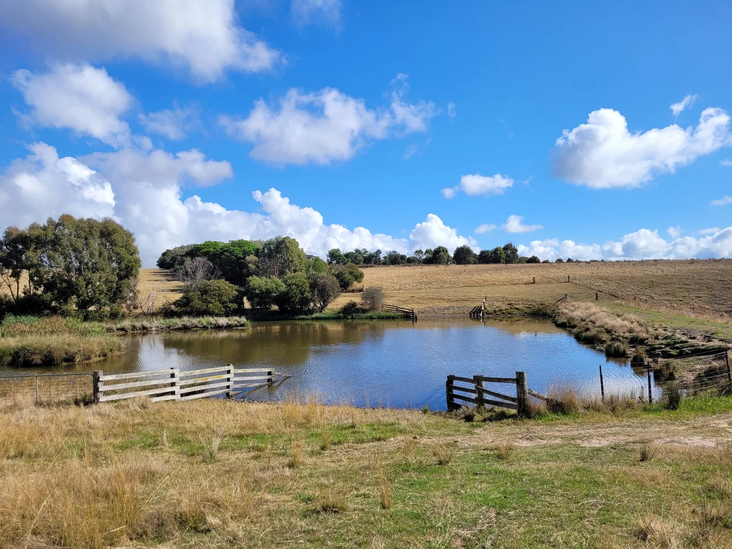 Central Tablelands Regional Landcare Network