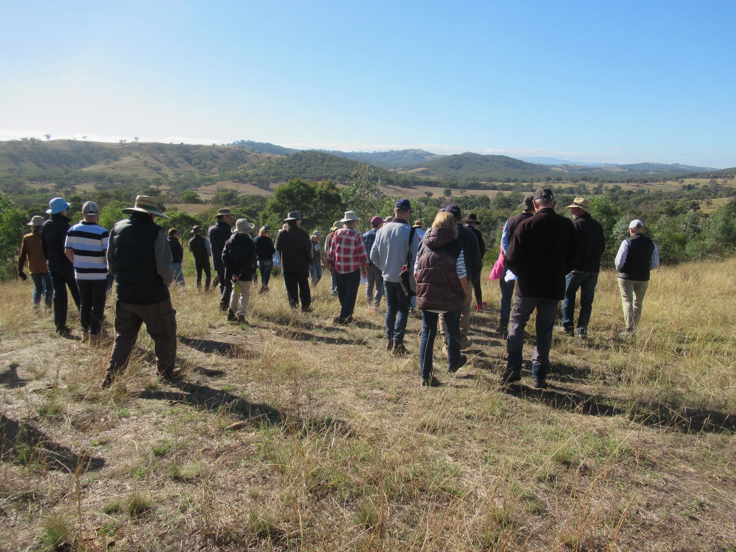 Central Tablelands Regional Landcare Network