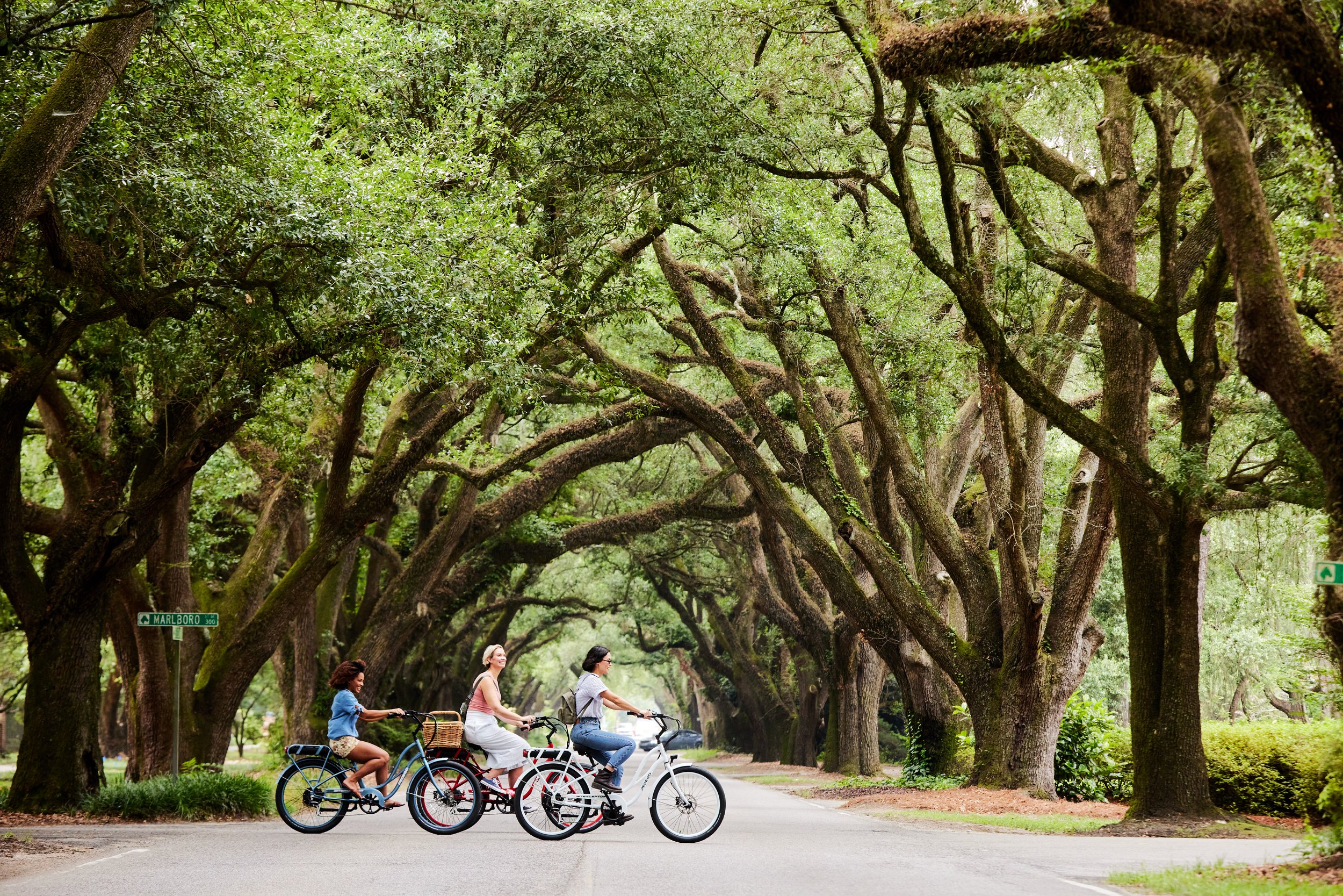 Come Visit Aiken SC | MoxieTown — Moxie Towns