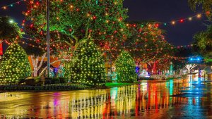 Come Visit Forest City | MoxieTown — Moxie Towns
