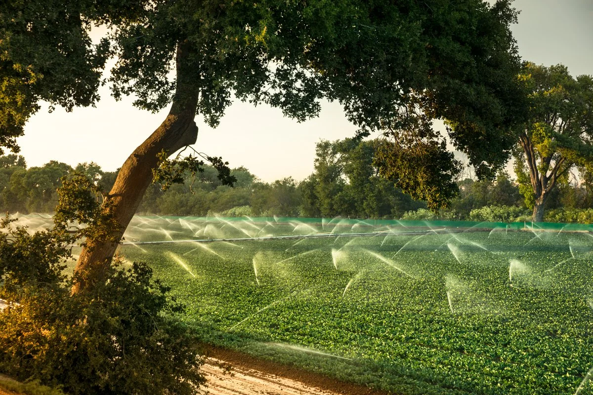 Alsopmuller.com Irrigation and well water experts