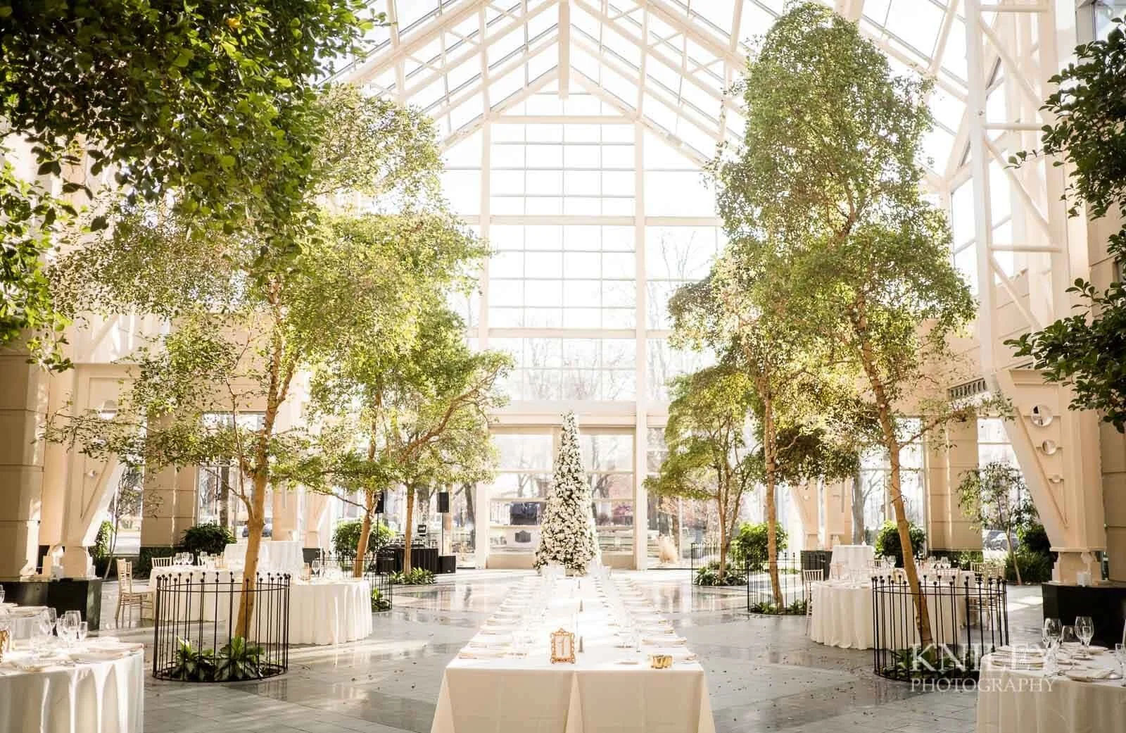 Weddings at The Wintergarden | Kniley Photography
