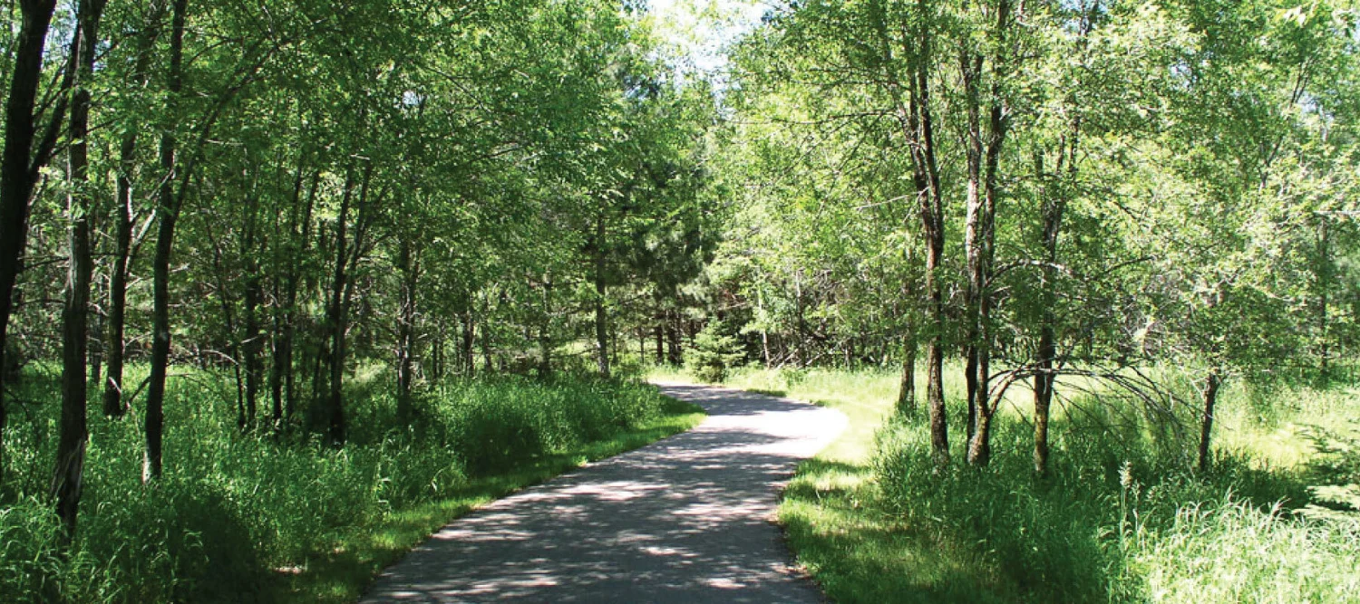 Bunker Regional Trail | Explore Scenic Routes — Anoka County Parks