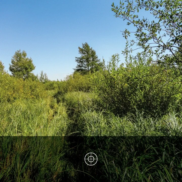 Parks & Conservation Areas | Explore, Enjoy, Preserve — Anoka County Parks