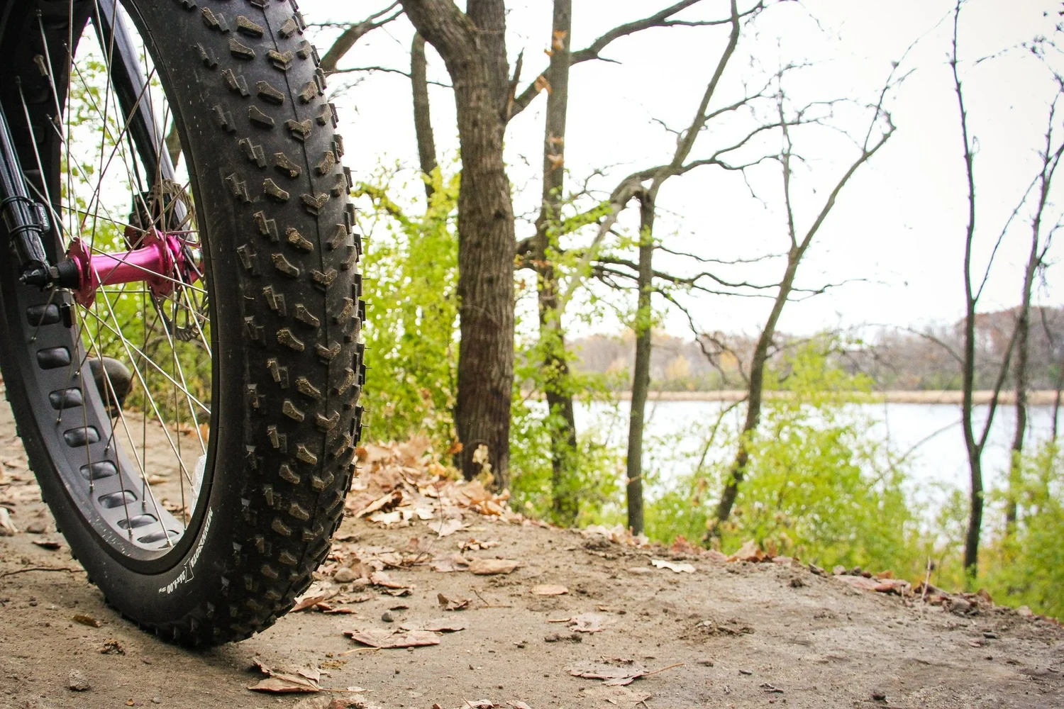 Things To Do | Discover, Explore, Enjoy — Anoka County Parks