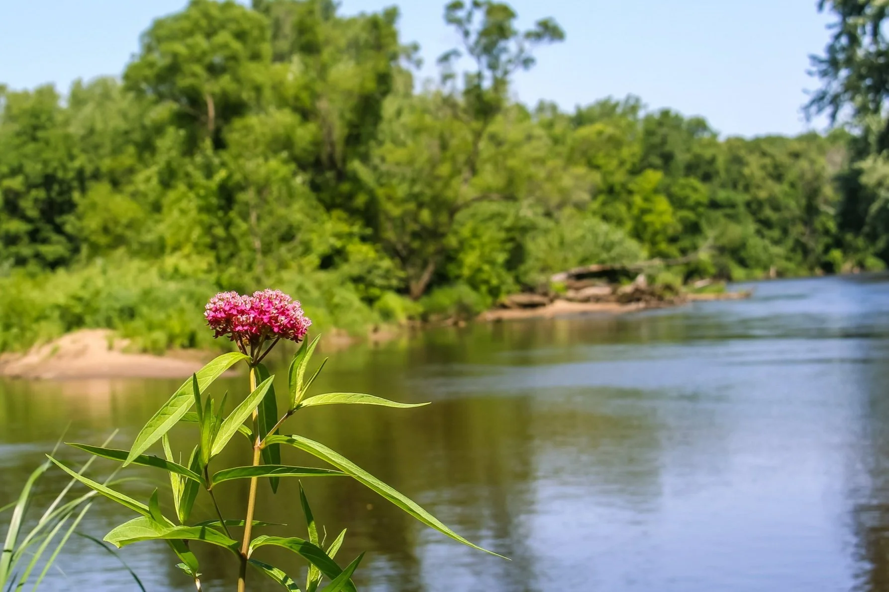 Rum River Water Trail | Explore the Adventure — Anoka County Parks