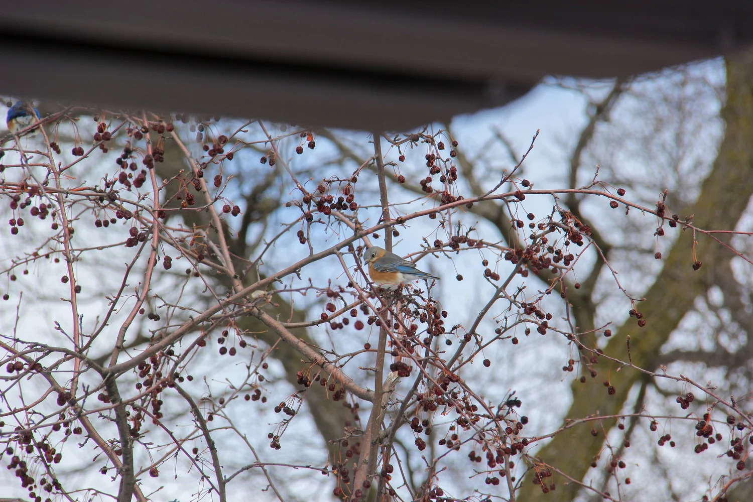 Anoka County Parks | Explore Nature Today