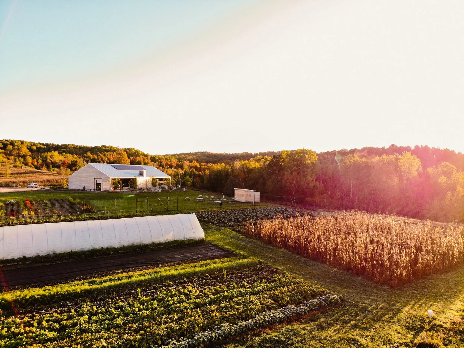 Farm Club